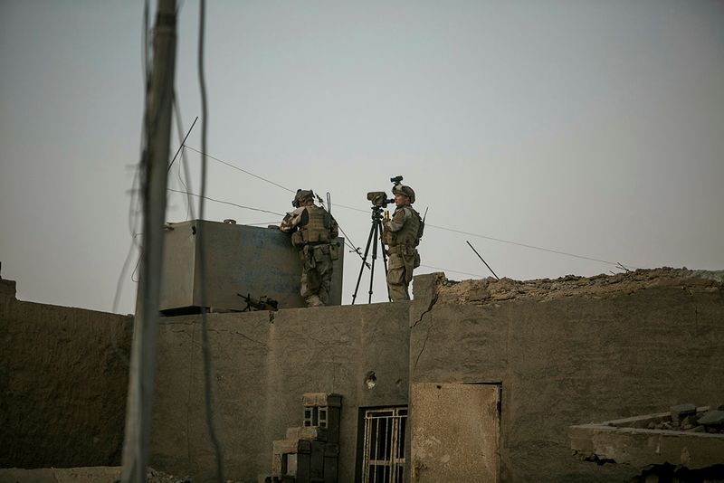 The Operational Environment Through the Eye of a Fly